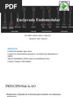 Tipos de Clavos Intramedulares Quirúrgicos | PDF | Tornillo | Hueso