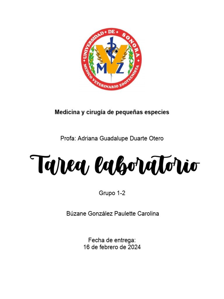 Tarea lab cx | PDF | Reanimación cardiopulmonar | Paro cardíaco