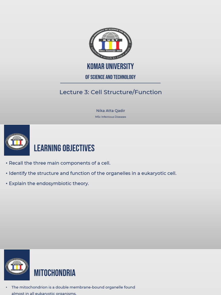 Lecture 3 - Cell Structure & Function | PDF | Endoplasmic Reticulum | Cytoskeleton