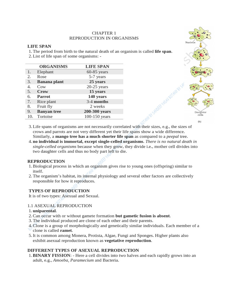 Reproduction in Organisms | PDF | Fertilisation | Reproduction