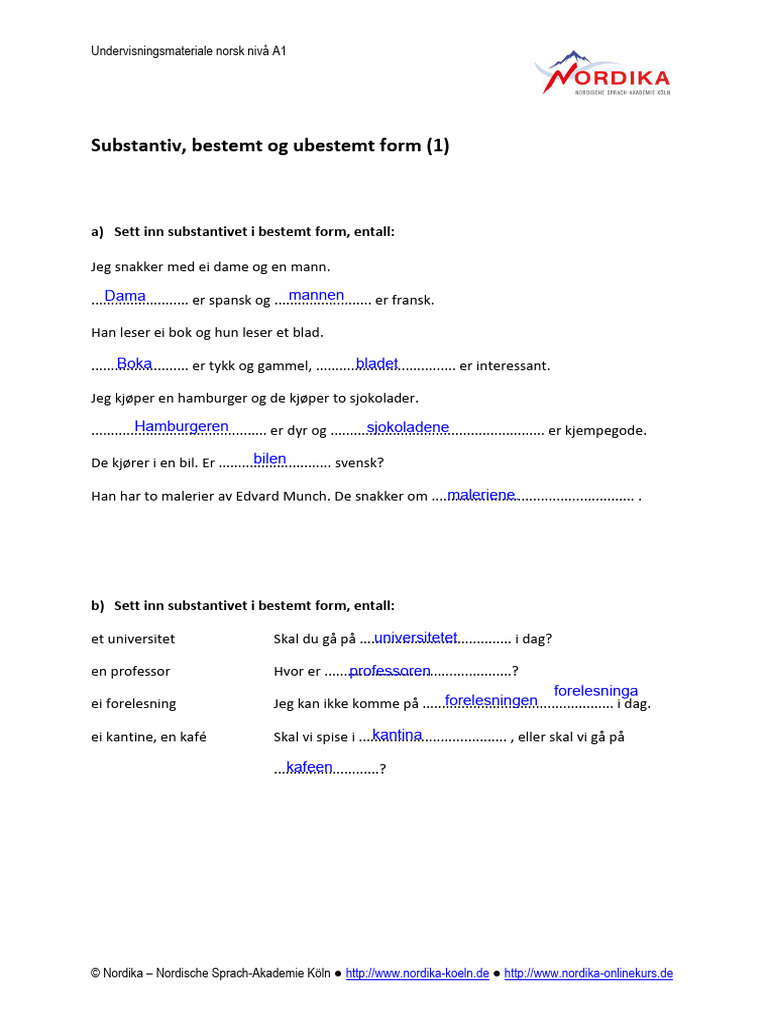 Substantiv-A1-1 | PDF