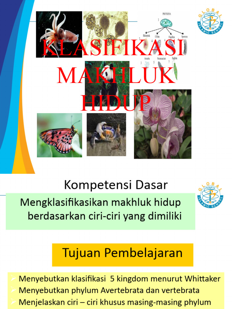 Klasifikasi Makhluk Hidup | PDF