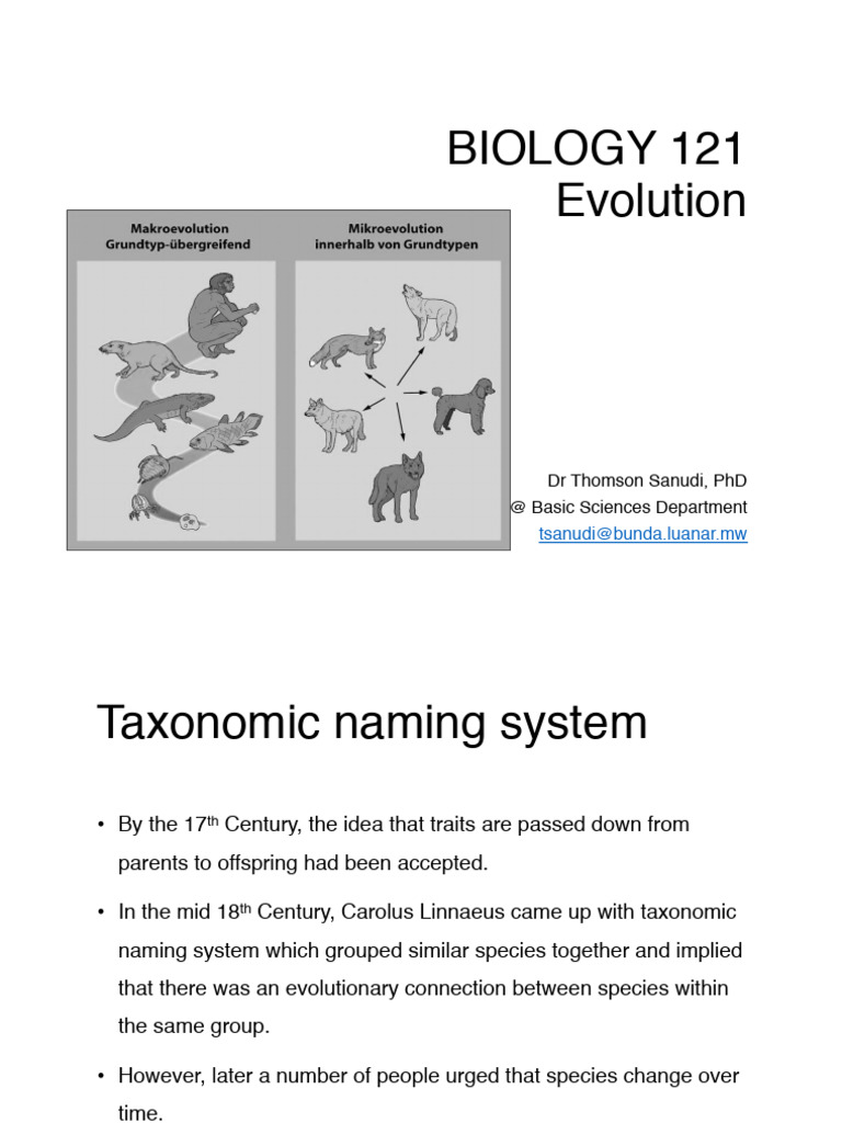 3BIO 121 Evolution | PDF