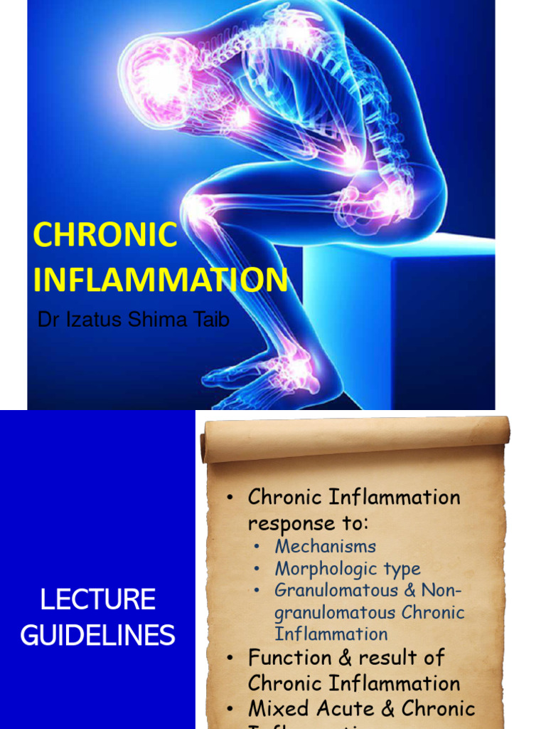 Chronic Inflammation | PDF