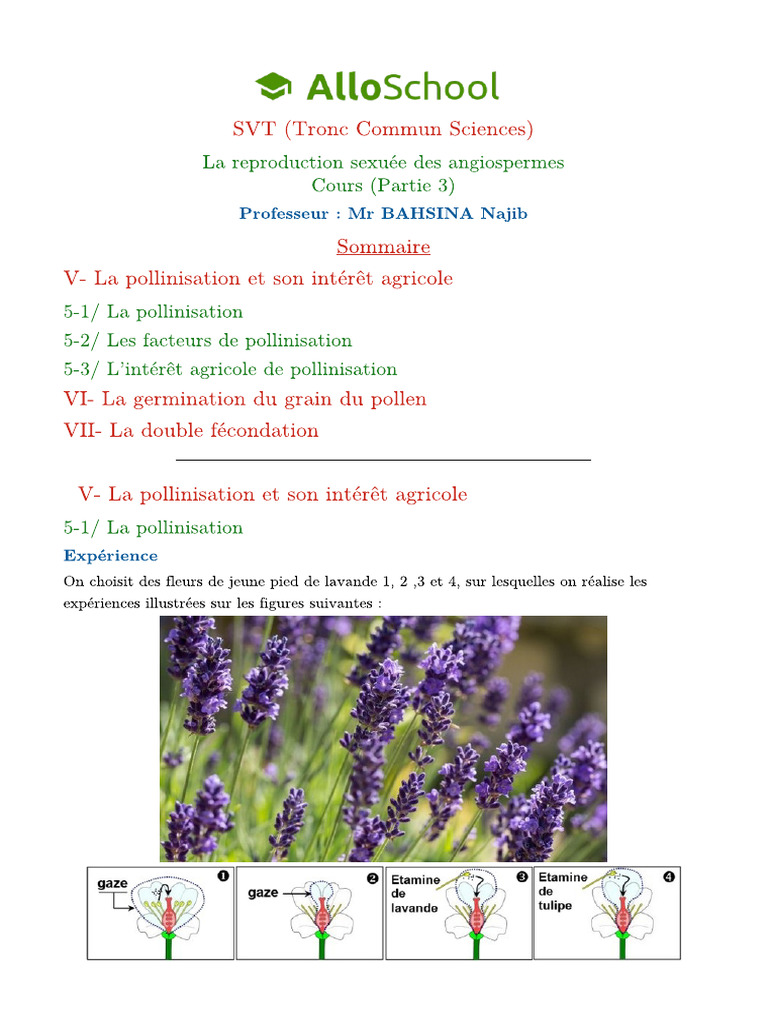 Cours 6 3 La Reproduction Sexuee Des Angiospermes Partie 3 2 | PDF