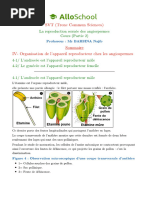 Le Carpelle : Organe des Angiospermes | PDF | Fruit | Embryon