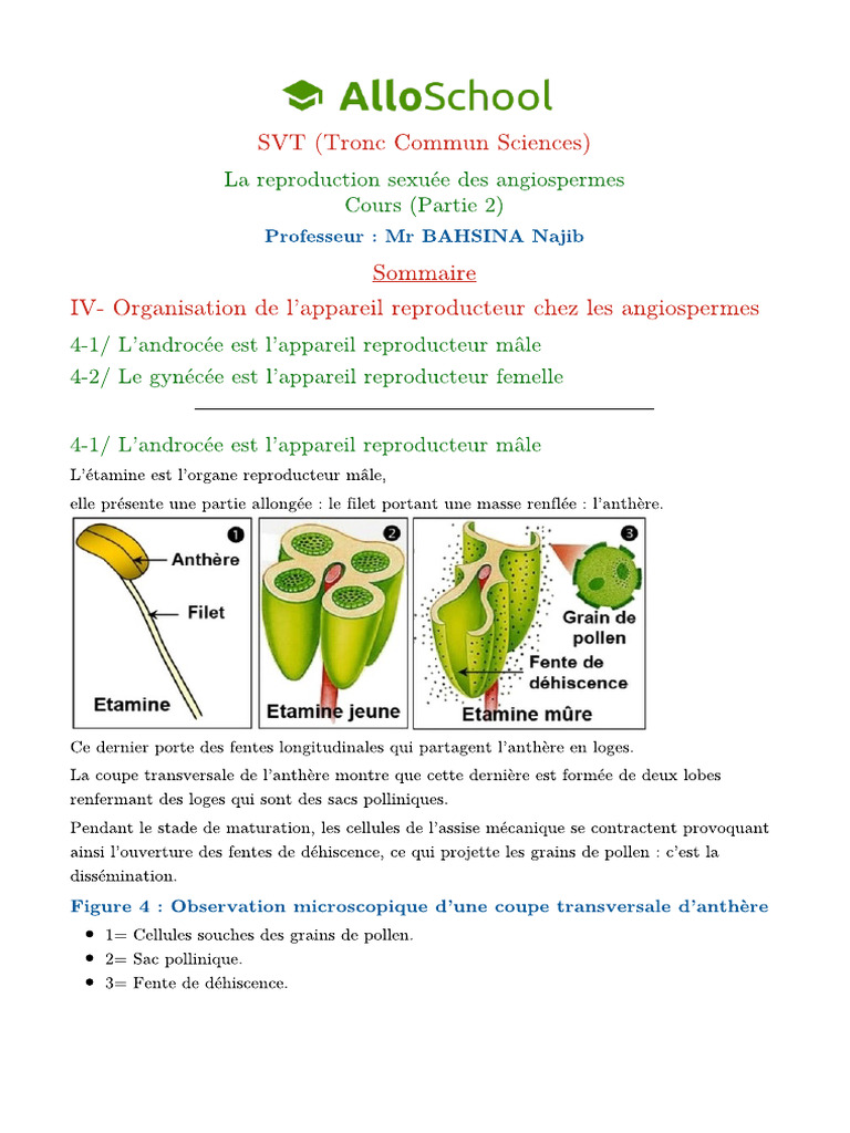 Cours 6 2 La Reproduction Sexuee Des Angiospermes Partie 2 2 | PDF