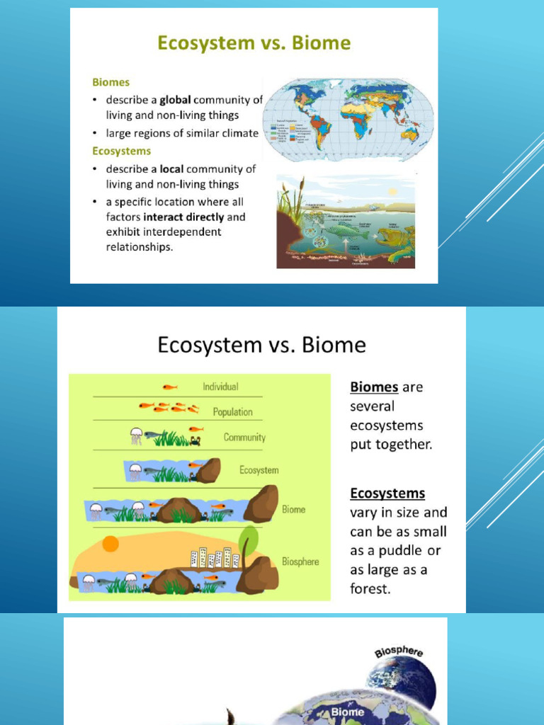 ECosystem and Biomes in Pakistan | PDF | Himalayas | Nature