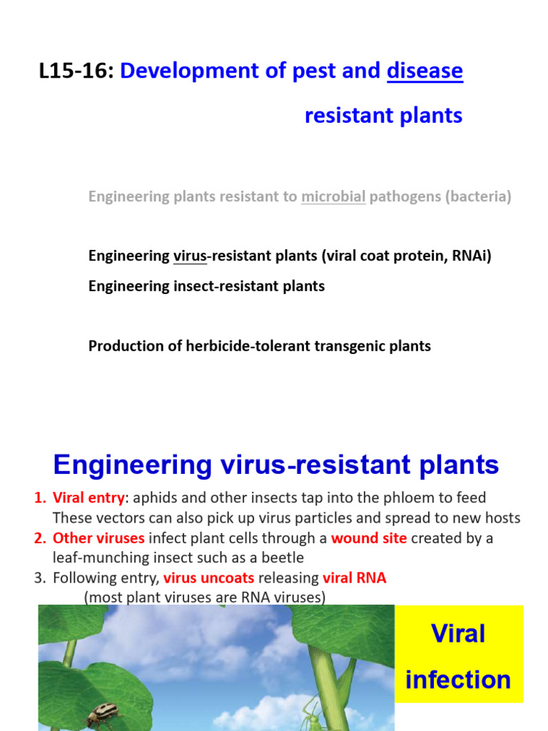 Development of Pest and Disease Resistant Plants | PDF | Virus ...