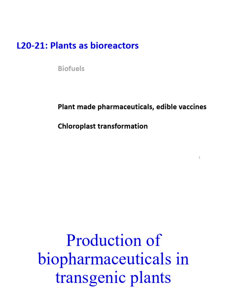 L20-21: Plants As Bioreactors: Biofuels | PDF | Genetically Modified Organism | Vaccines