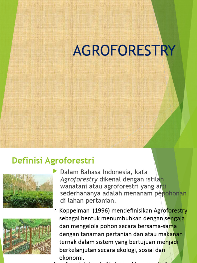 Sistem Agroforestri di Indonesia | PDF