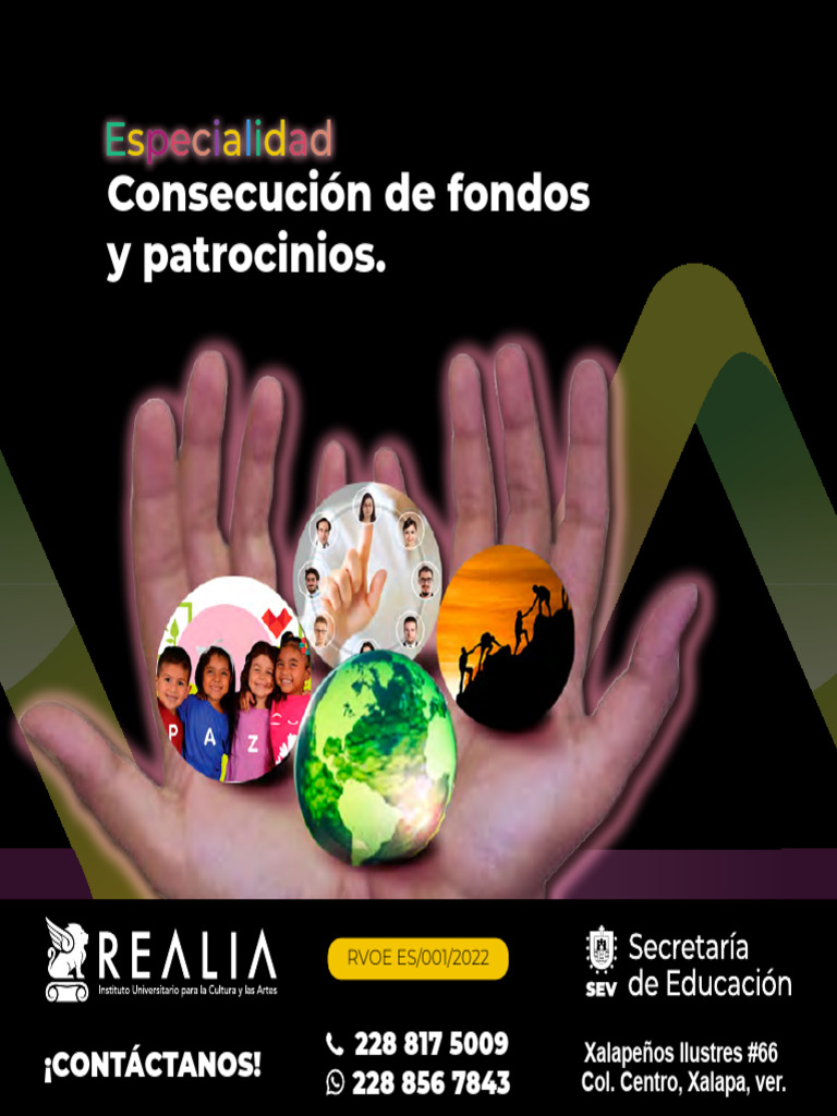 Especialidad en Fondos y Patrocinios | PDF | Organización no ...
