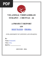 CBSE Class XII English Project Guide | PDF | Social Science