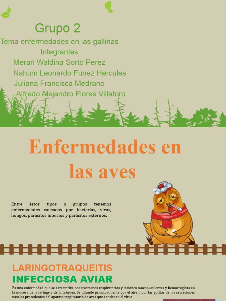Presentacion Grupo#2 | PDF | Diarrea | Infección