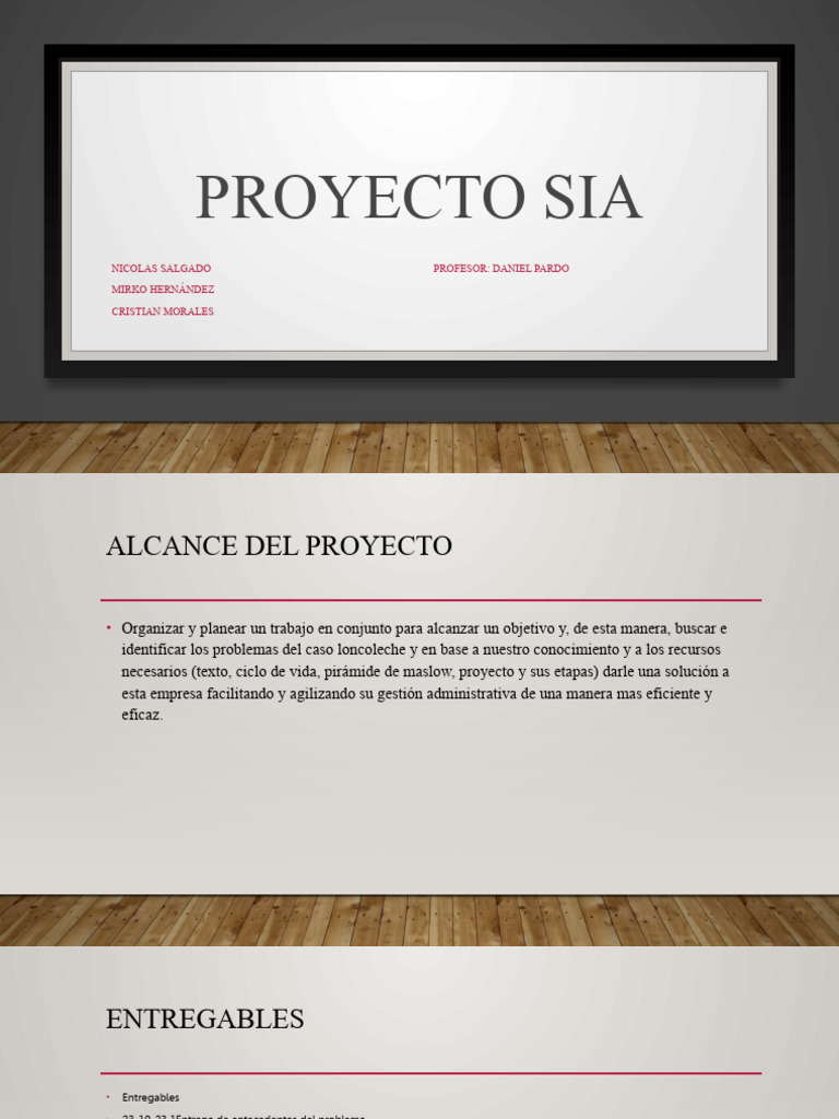 Proyecto SIA PPT (Avance) | PDF