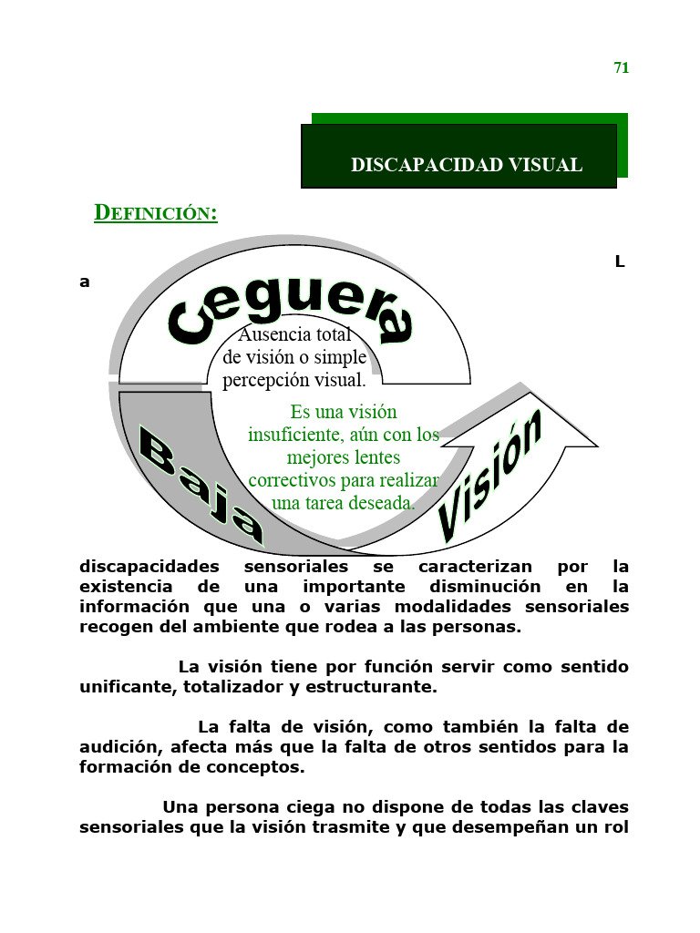 Discapacidad Visual - Abordaje 1 | PDF | Discapacidad visual | Plan de estudios