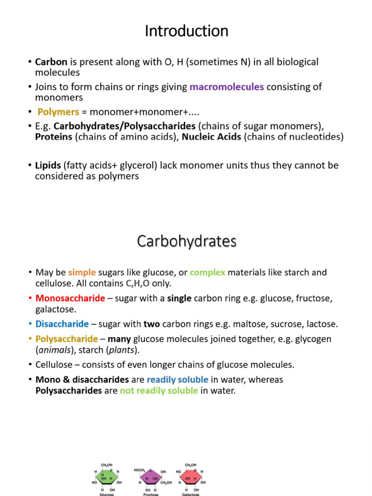 Biological Molecules | PDF