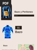 Omentos Mayor y Menor - Anatomía, Ubicación y Función - Kenhub | PDF ...