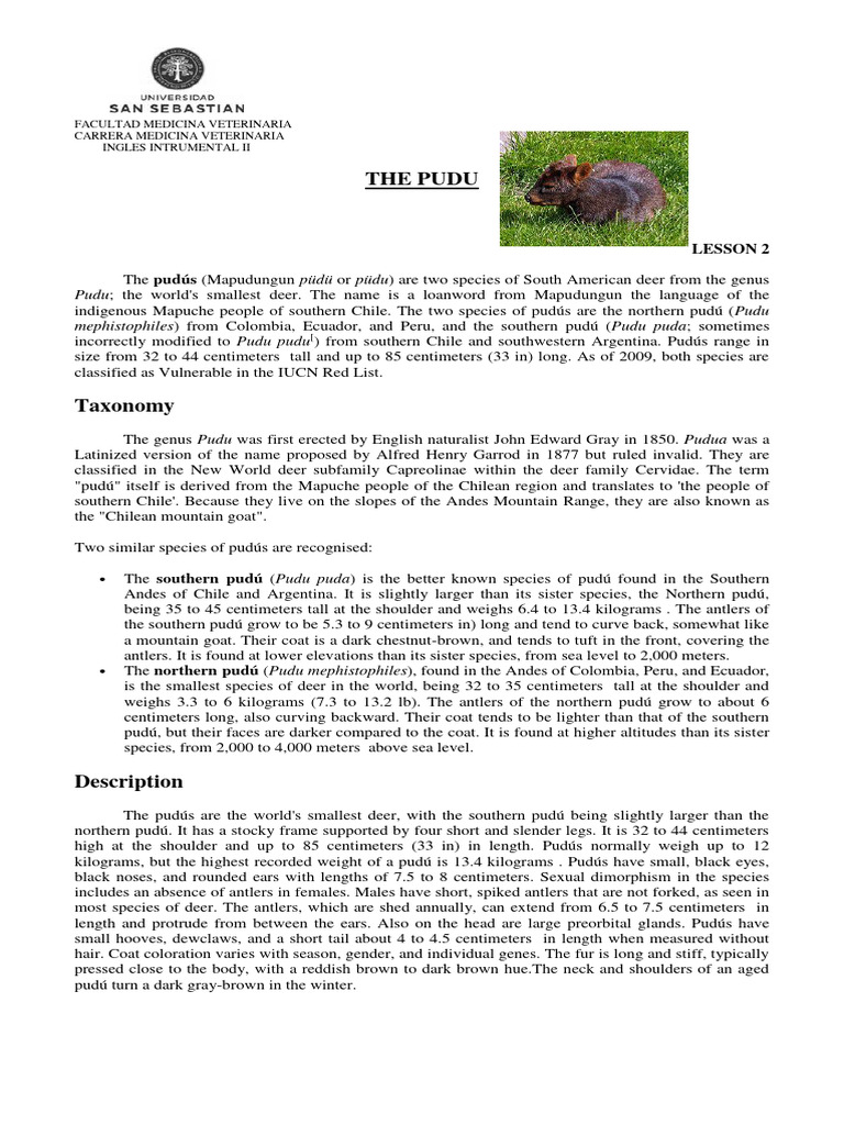 Lesson 2 The Pudu | PDF | Organisms | Mammals