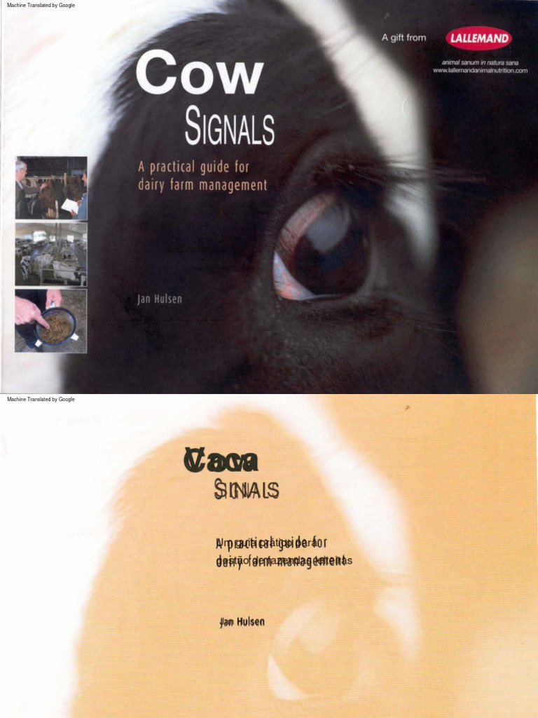 Cópia de Cow Signals, A Practical Guide For Dairy Farm Management-1 ...