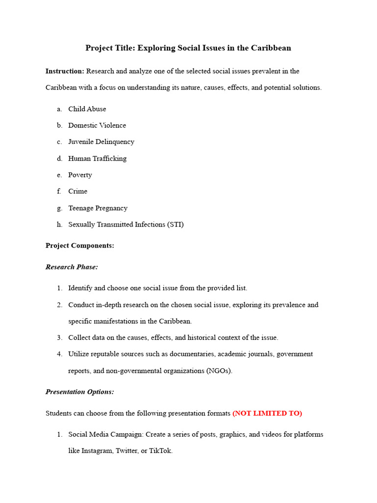 Social Issues Project | PDF