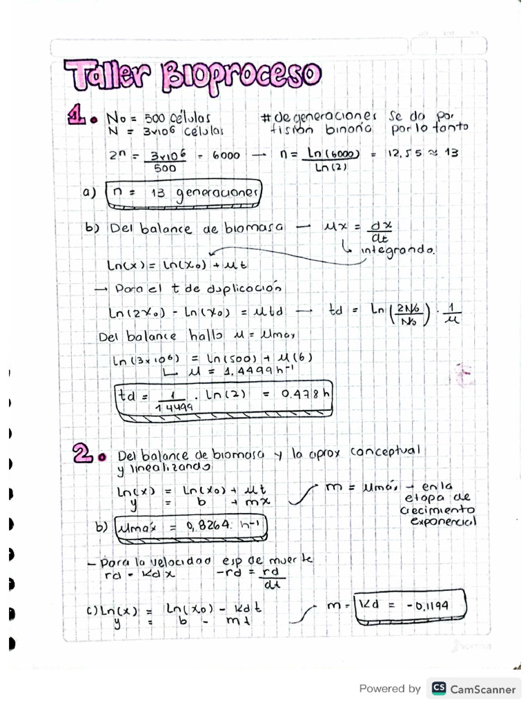 Taller de Bio 2do Corte | PDF
