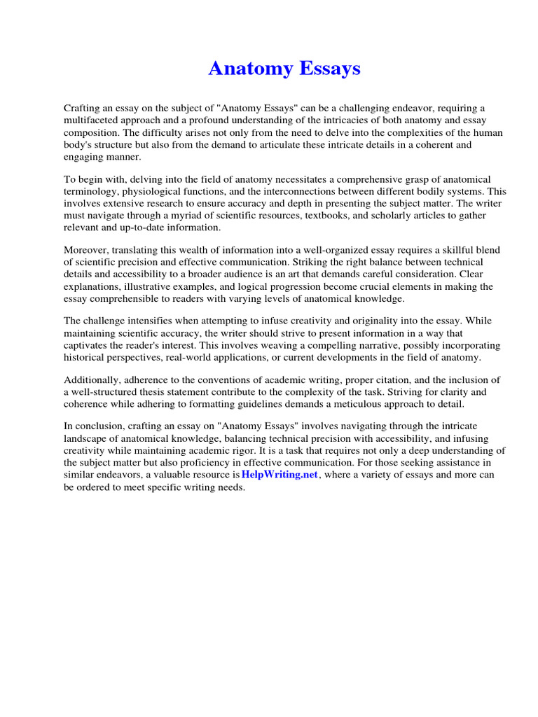 Anatomy Essays | PDF | Internet Protocols | Computer Network