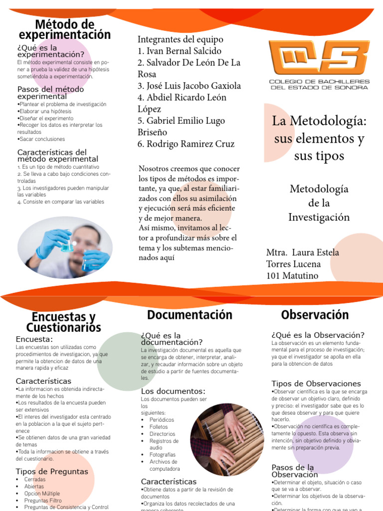 TRIPTICO Sobre El Proceso de Investigación Científico | PDF | Metodología de encuesta | Observación