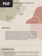 Cocori Libro Completo | PDF