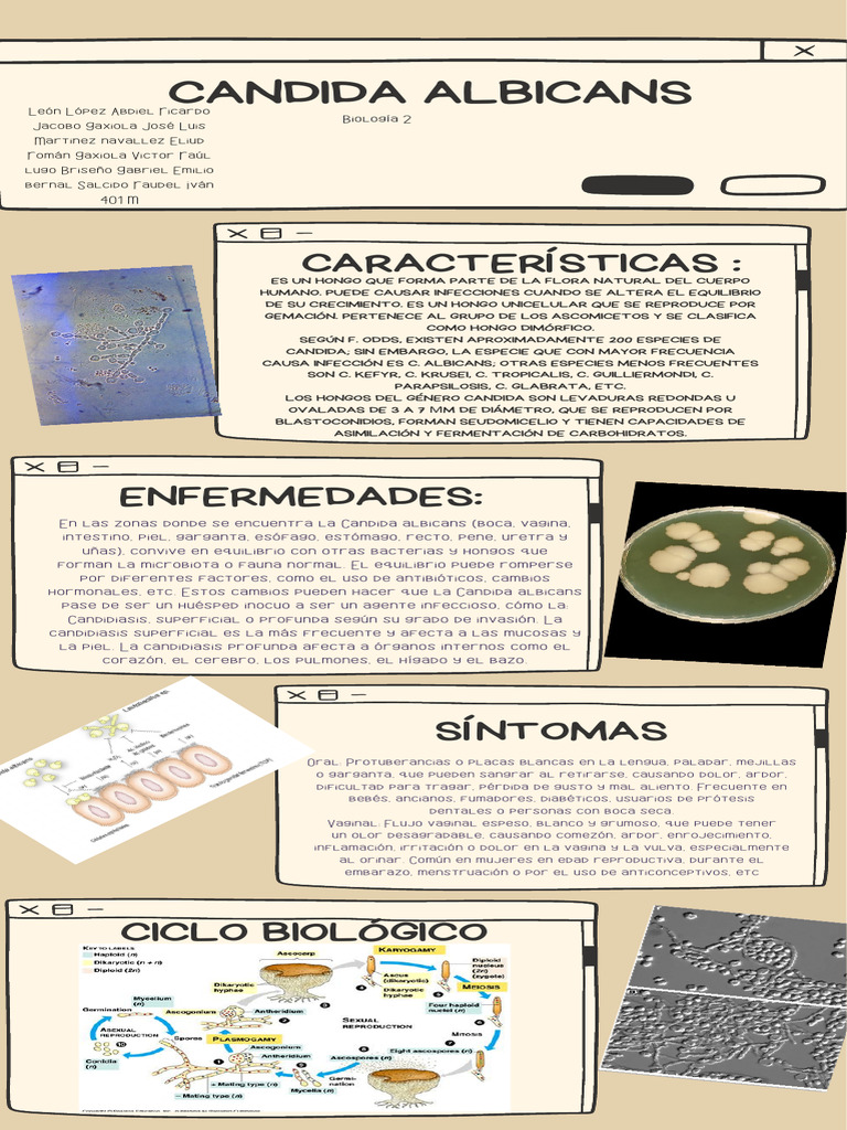 Infografía Del Candida Albicans (Hongo Biología Médica) | PDF ...