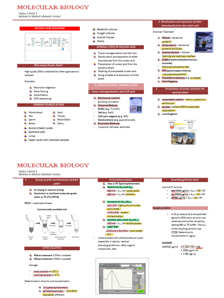 MD Dna Isolation Transes | PDF