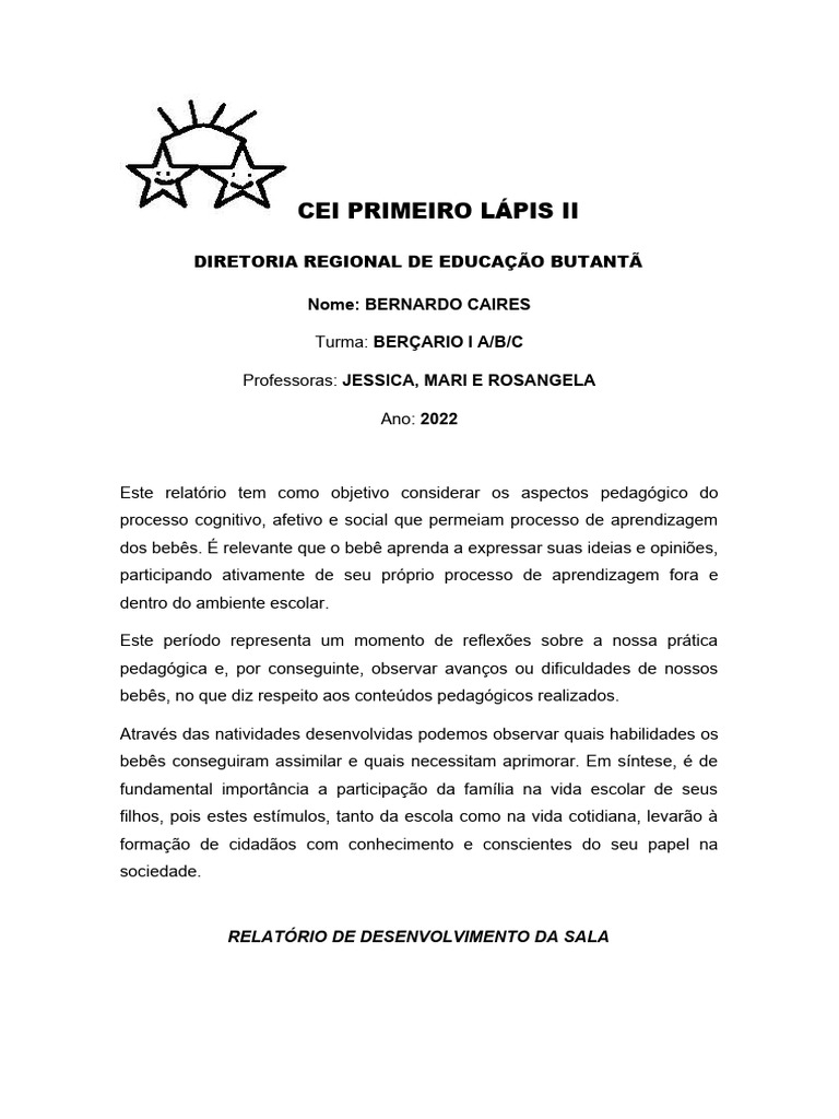 Relatórios Bi Final | PDF | Pedagogia | Aprendizado