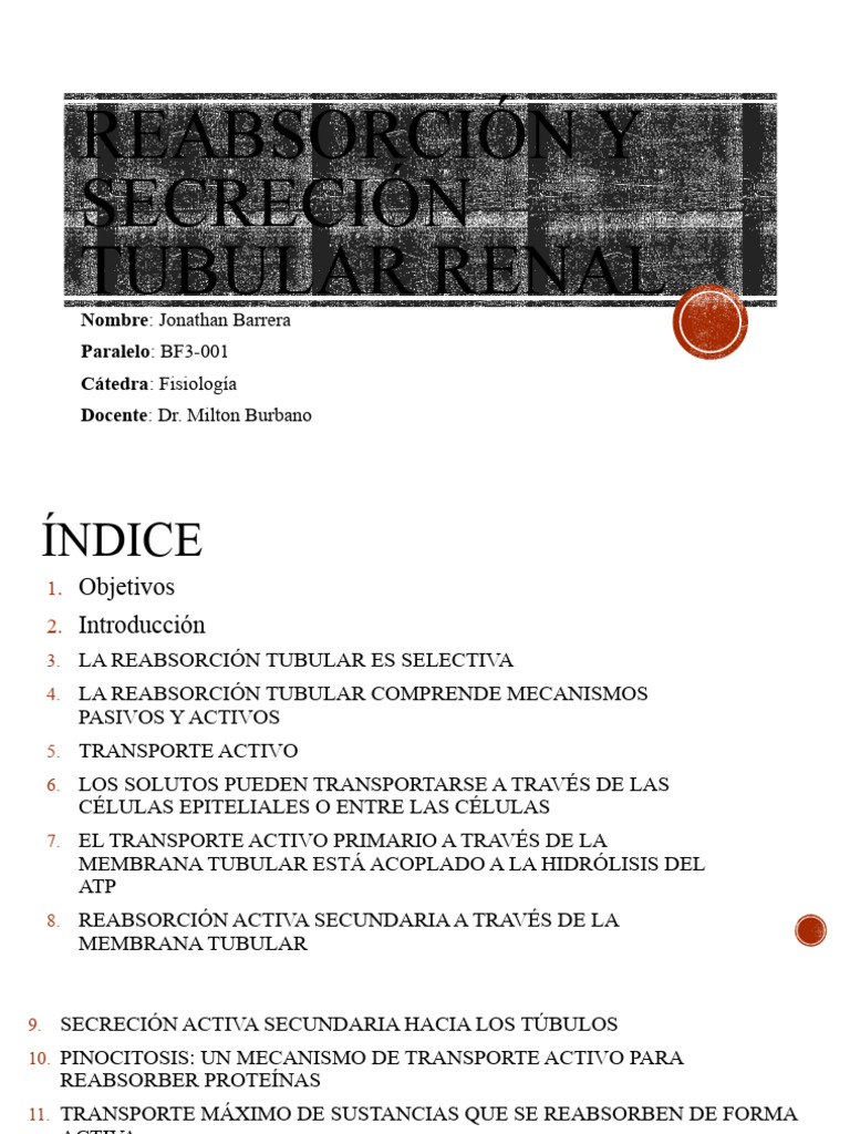 Reabsorción y Secreción Tubular Renal | PDF | Orina | Riñón