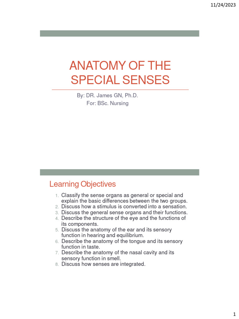 Anatomy of Special Senses Notes | PDF | Ear | Auditory System