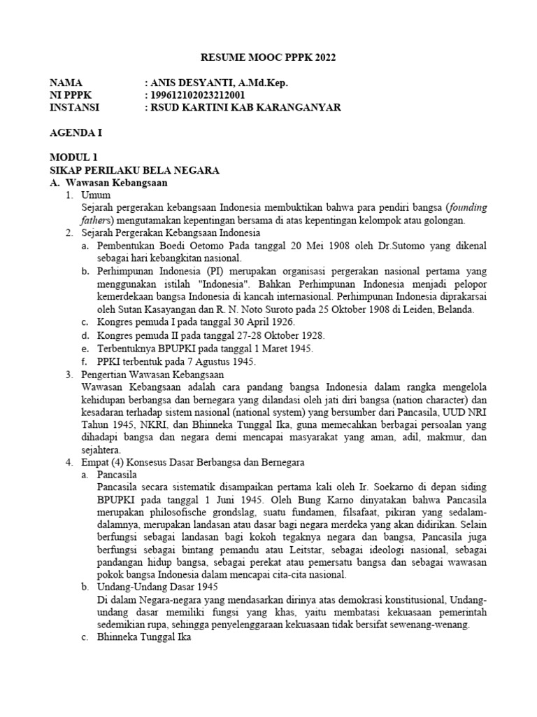 Resume Mooc PPPK 2024 Anis | PDF
