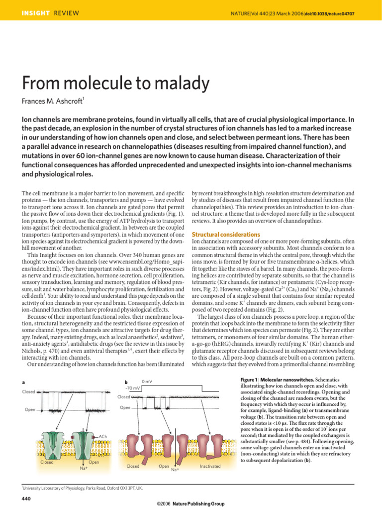 Canelopatias Geral Frances M. Ashcroft NATURE | PDF | Ion Channel ...