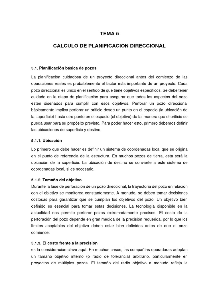 Tema 5 - Perfo 3 | PDF | Planificación | Perforación