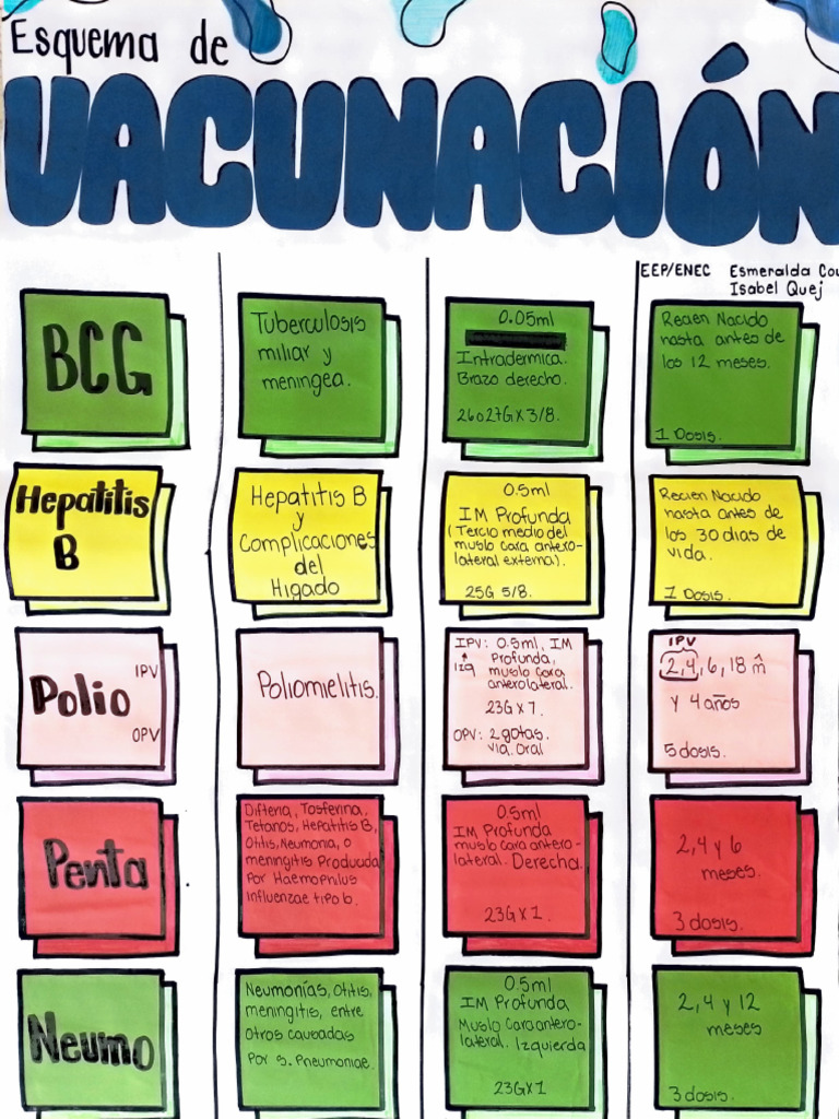 《Esquema de Vacunación》 | PDF | Ciencias de la Salud | Enfermedades animales