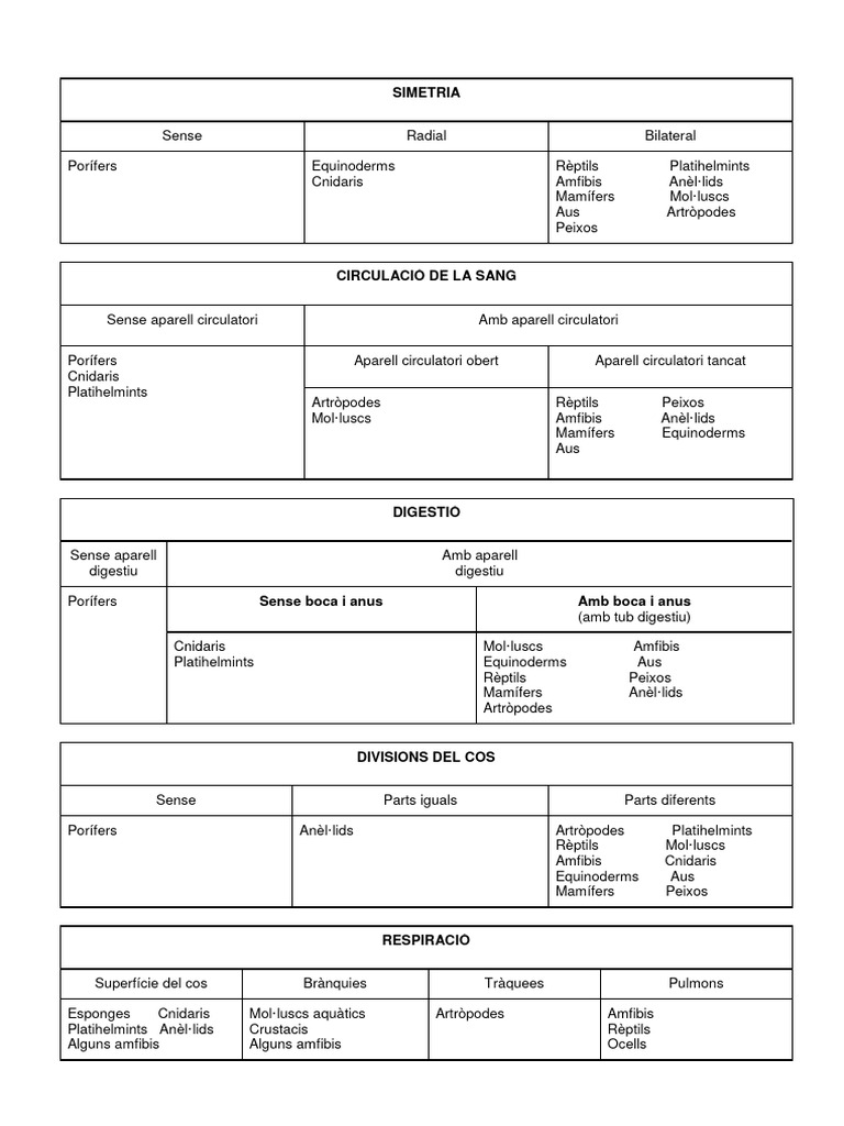 SA Bitxos Raros - DOC 5 - Document Base de Treball (DBT) - 0 | PDF