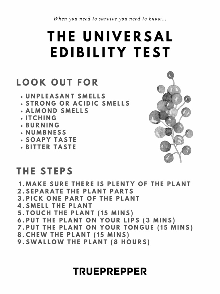 Printable PDF of The Universal Edibility Test For Survival | PDF