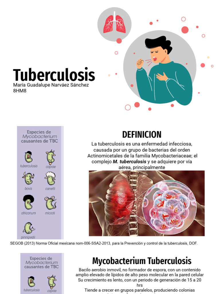 Tuberculosis | PDF | Tuberculosis | Mycobacterium