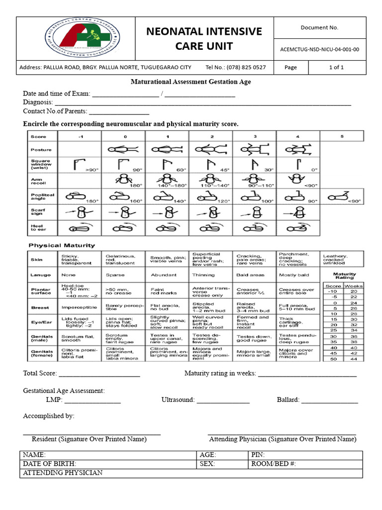 Assessment For Maturation Pdf