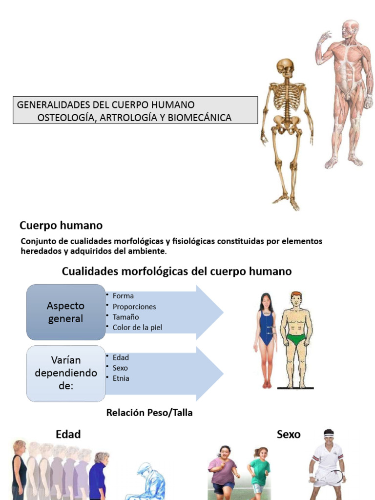 Repaso Pdf Articulación Hueso