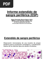 Reporte de Extendido de Sangre Periférica | PDF | Plaqueta | Leucocito