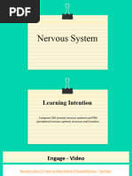 Human Digestive System Flow Chart | PDF | Digestion | Stomach