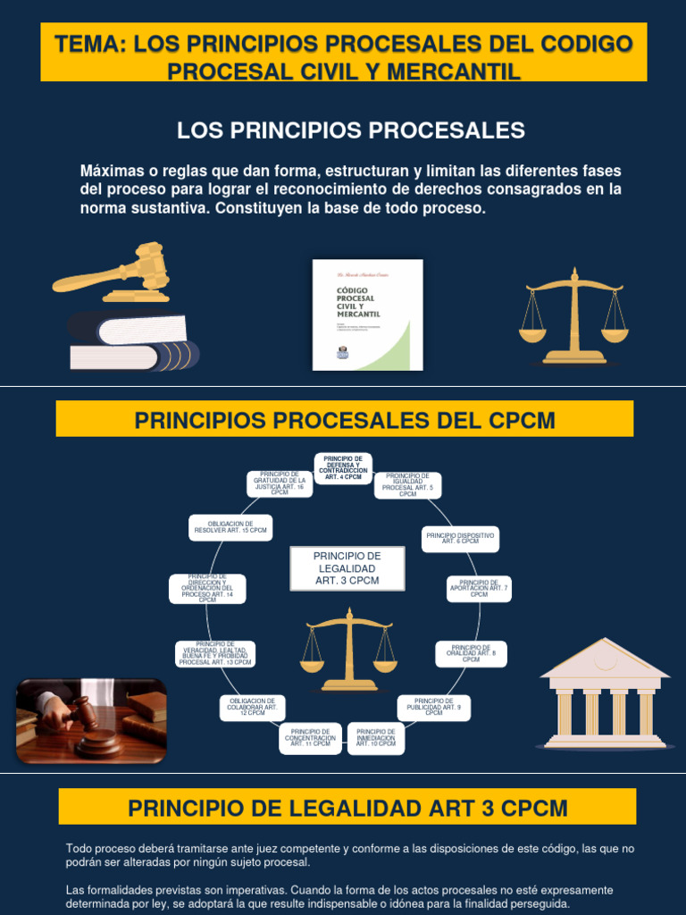 Principios Procesales del CPCM | PDF | Ley procesal | Evidencia (ley)