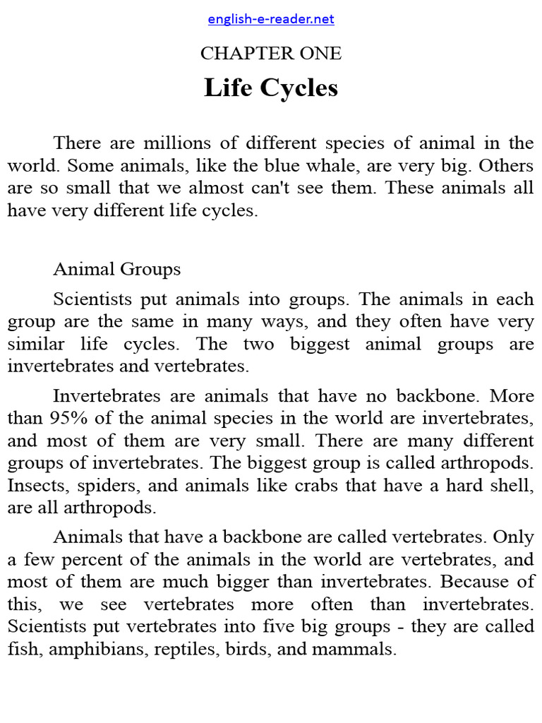 Animal Life Cycles by Rachel Bladon | PDF | Amphibian | Insects