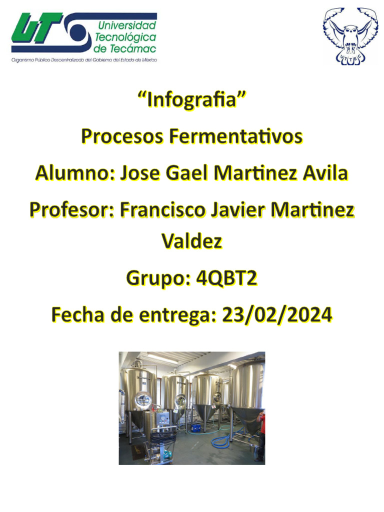 Infografia Procesos Fermentativos | PDF | Fermentación | Metabolismo