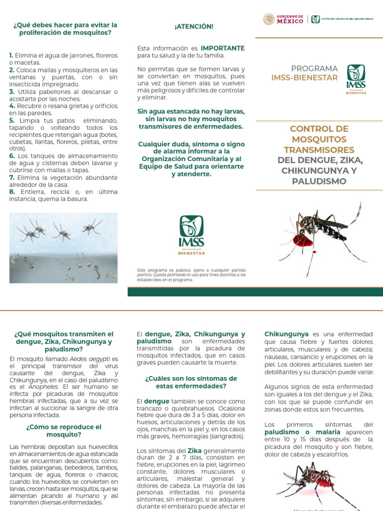 24 Triptico Contra Dengue Zika Chikung y Paluds Carta | Descargar ... 24 Triptico Contra Dengue Zika Chikung y Paluds Carta | Descargar ...