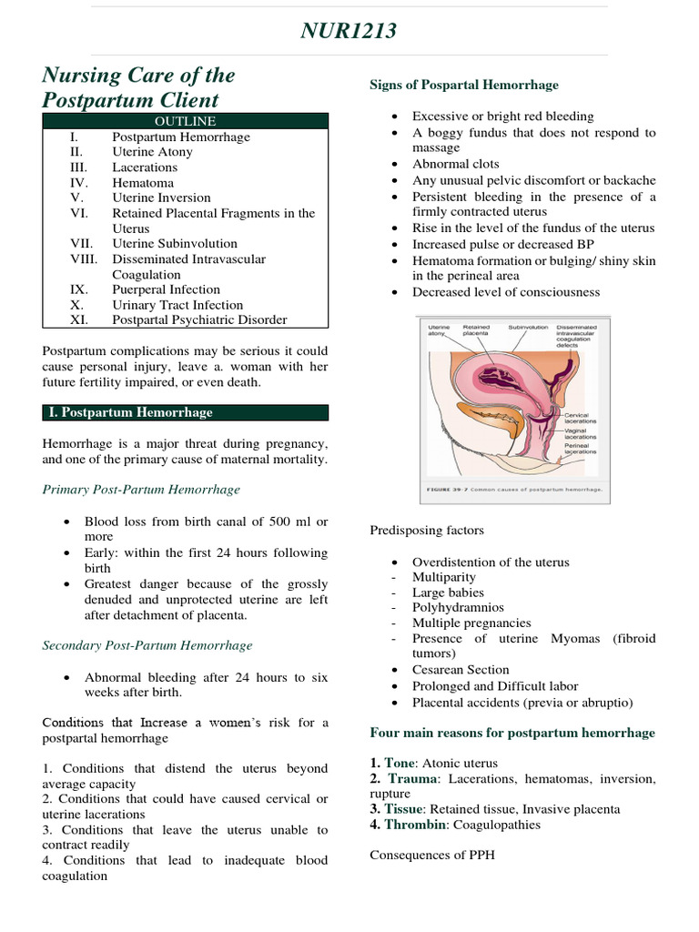 Module 5 - MCN Transes | PDF | Postpartum Period | Childbirth